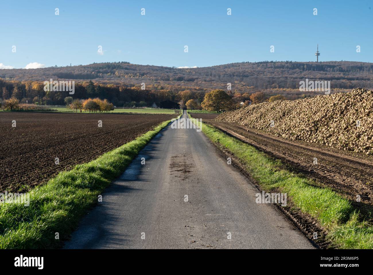 Region of hesse hi-res stock photography and images - Alamy