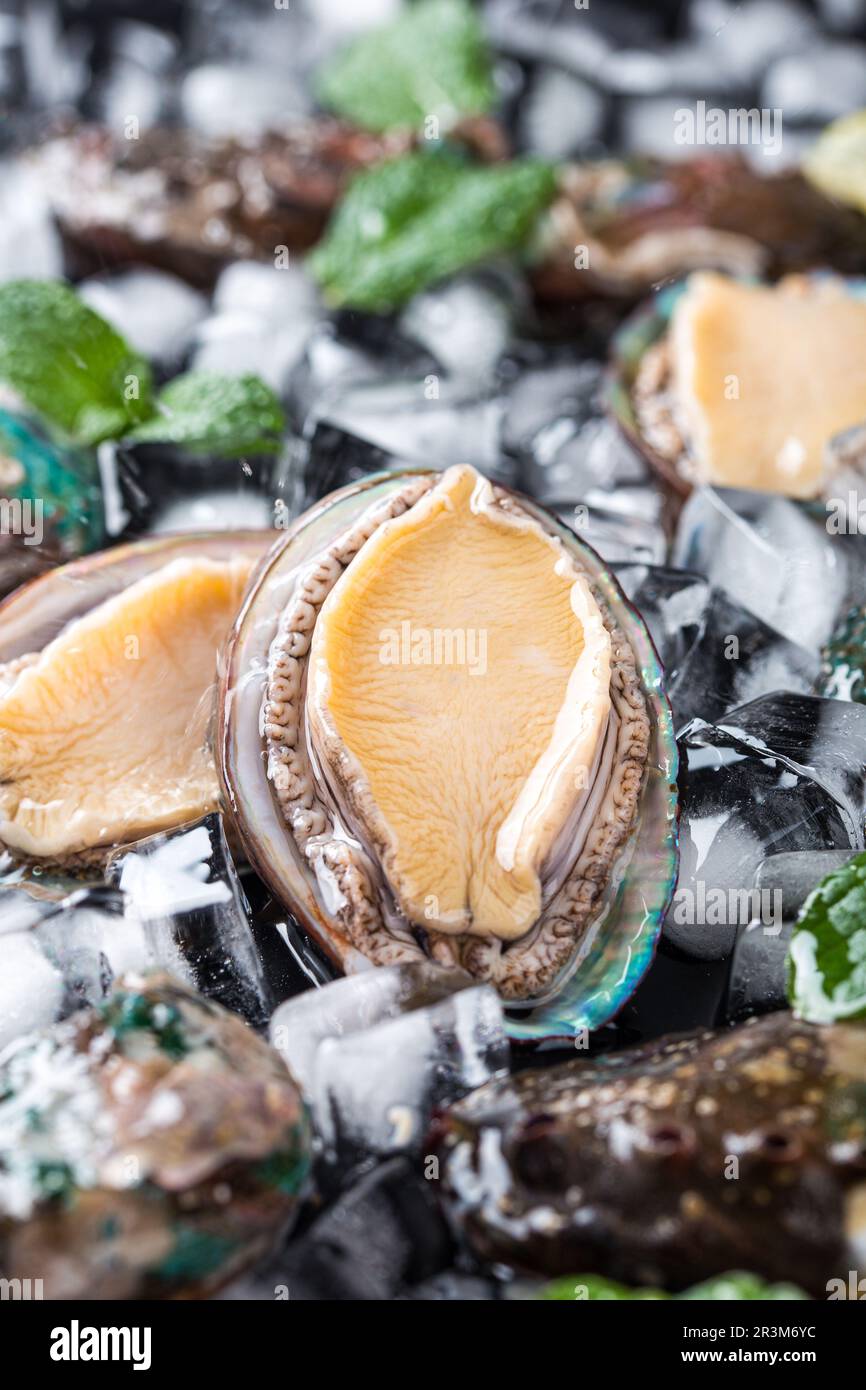 Australian shells food hi-res stock photography and images - Alamy