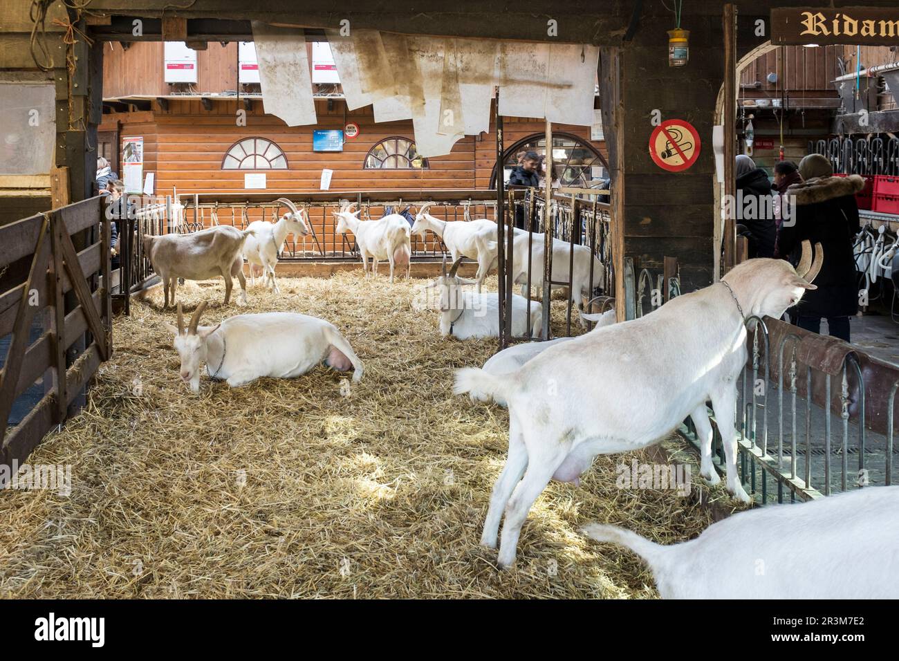 People visit goats in a pen at the Goat Farm Ridammerhoeve in the heart ...