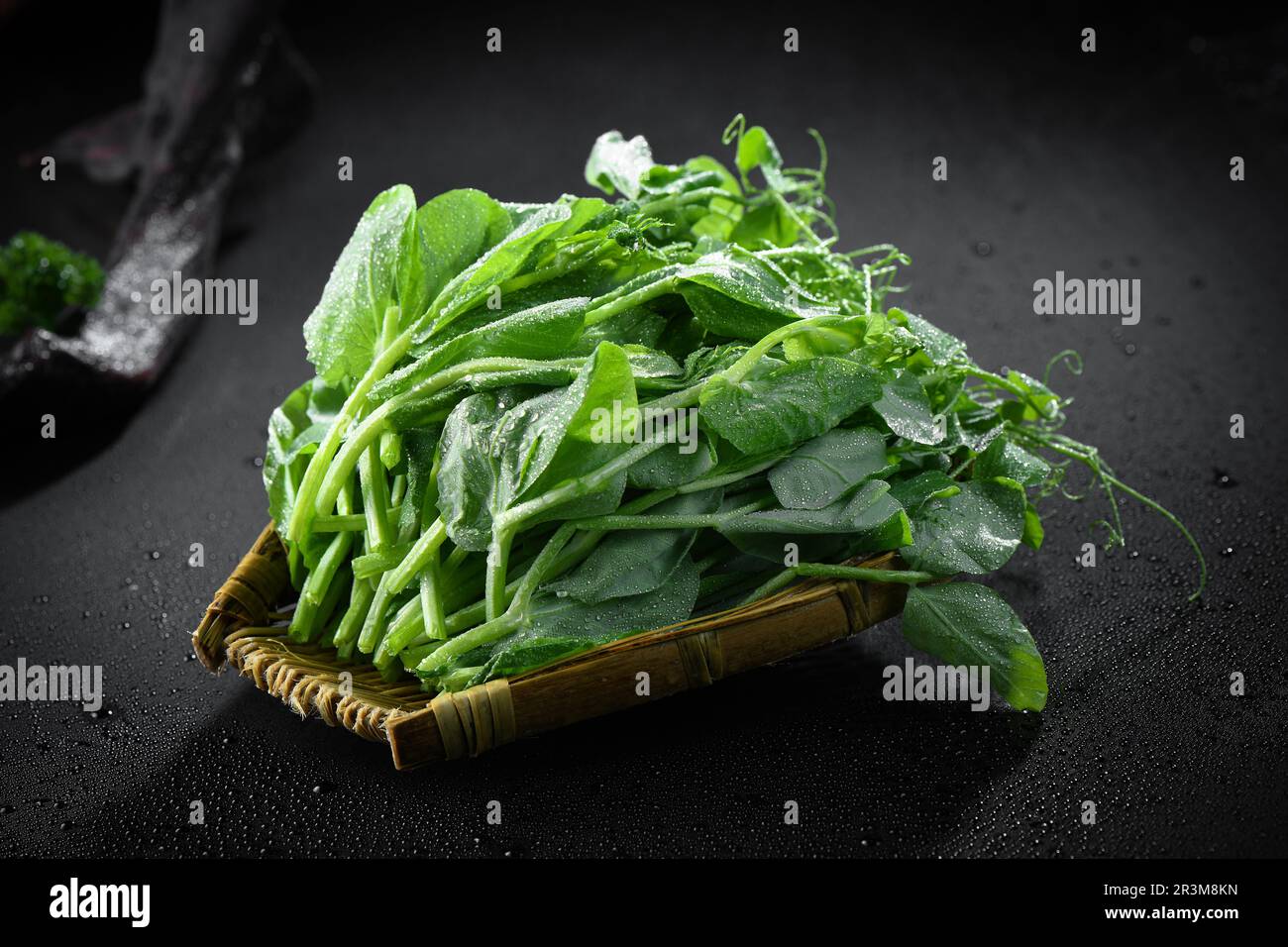 green pea shoots for hot pot,yakiniku, sukiyaki and shabu used Stock ...