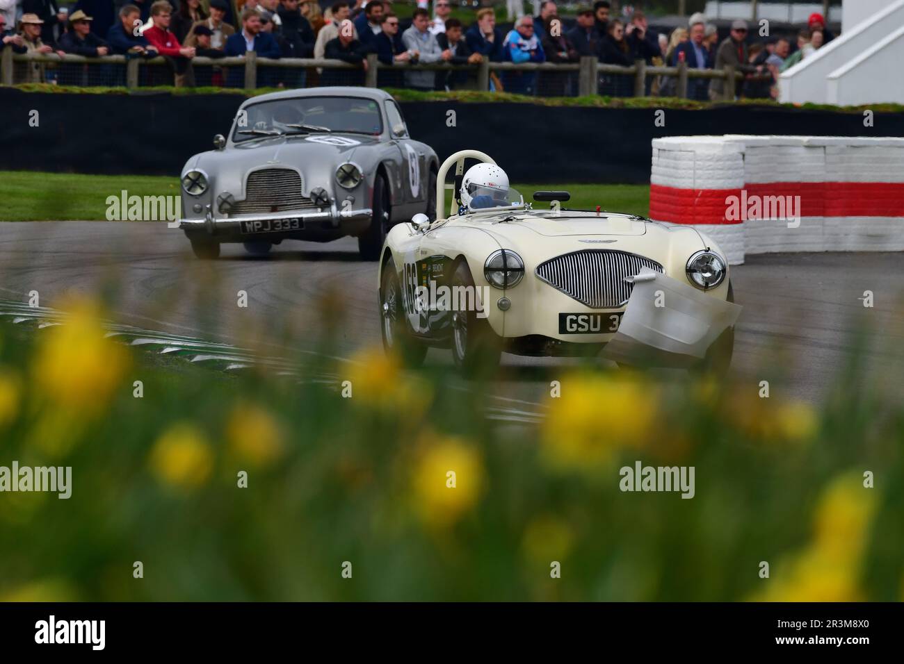 Nicholas English, Austin Healey 100M, Tony Gaze Trophy, a single driver ...