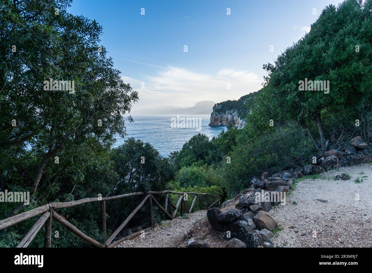 Narrow beach access leading to a secluded beach through forest on the ...