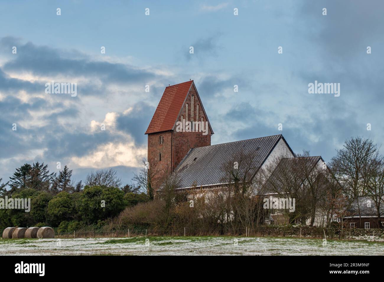 Severin plant hi-res stock photography and images - Alamy