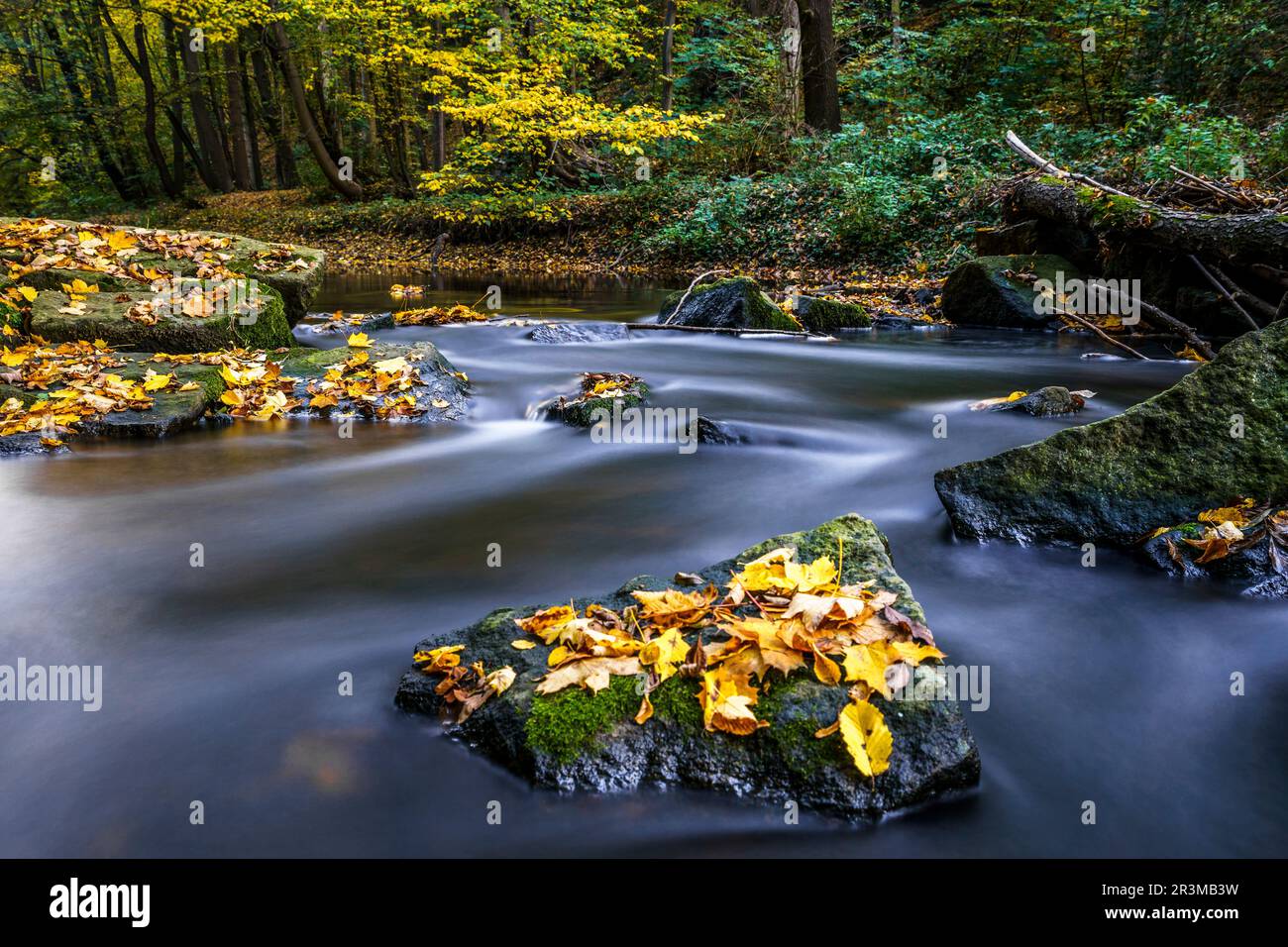 Autumn magic on a river landscape in Lusatia - The LÃ¶bauer Water 19 ...