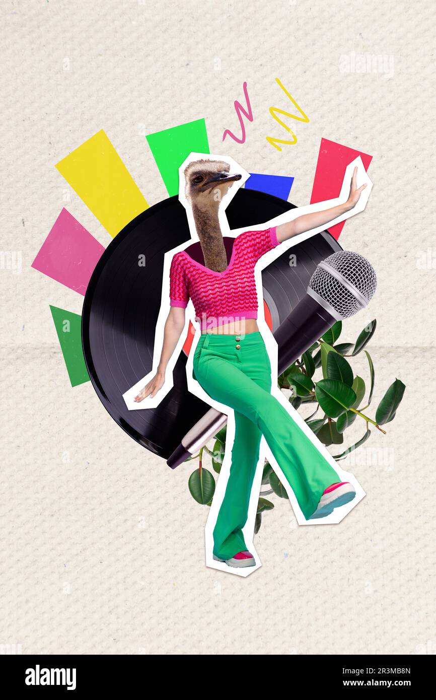 Exclusive sketch collage image of funky lady bird head dancing singing ...