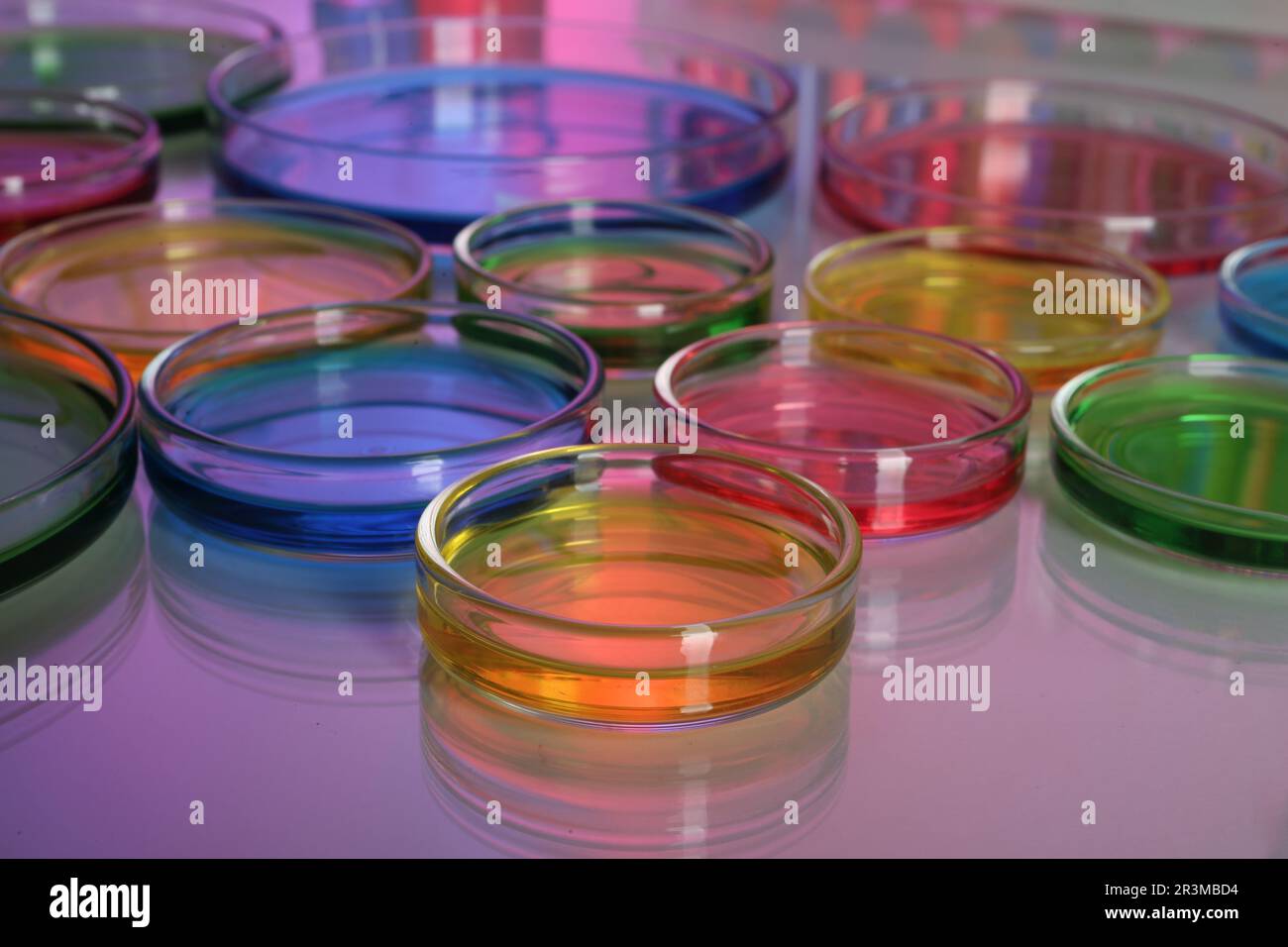 Petri dishes different samples hi-res stock photography and images - Alamy