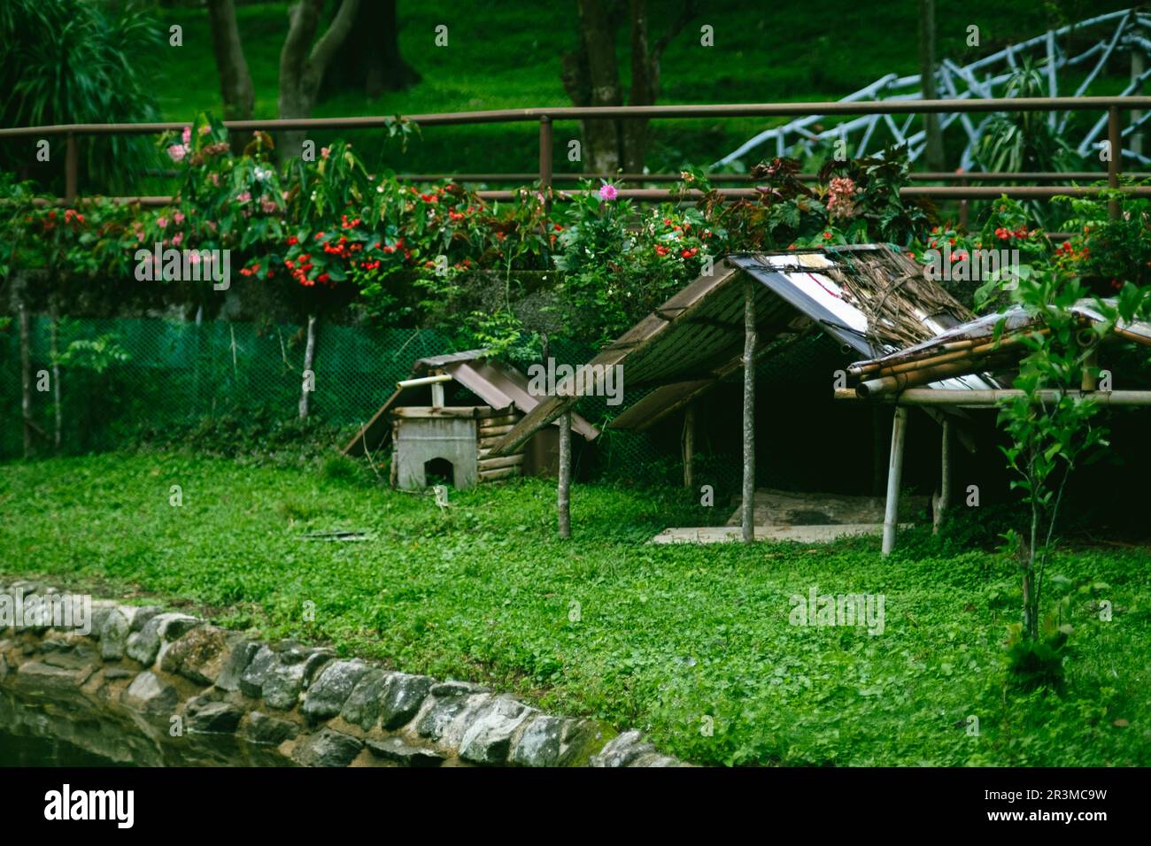 Duck house farm hi-res stock photography and images - Alamy
