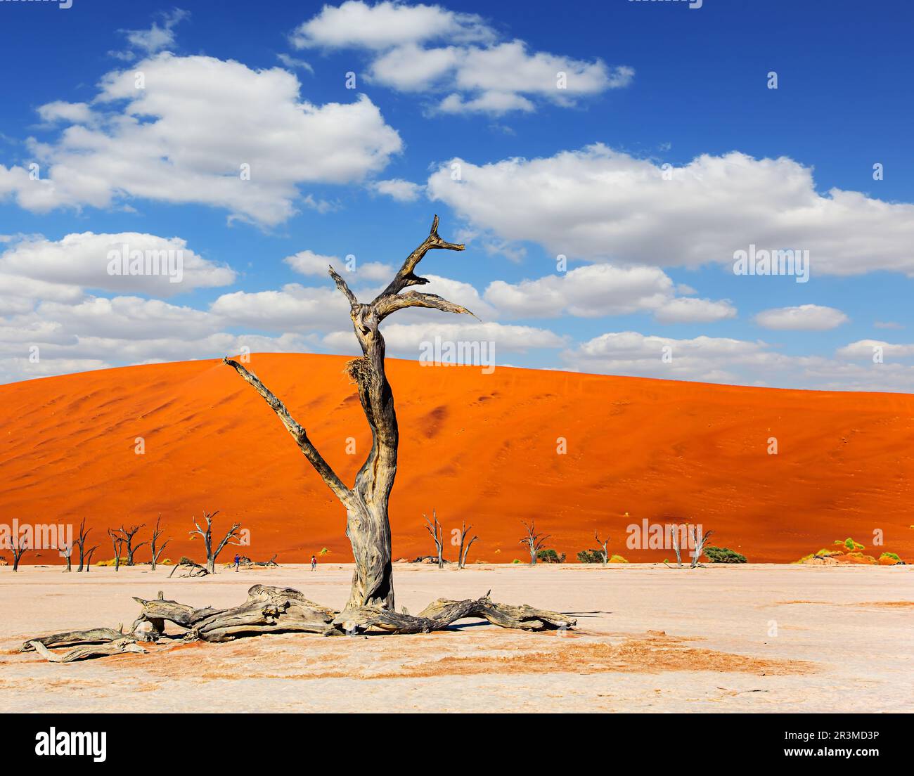 Vivid huge red and orange sand dunes Stock Photo - Alamy