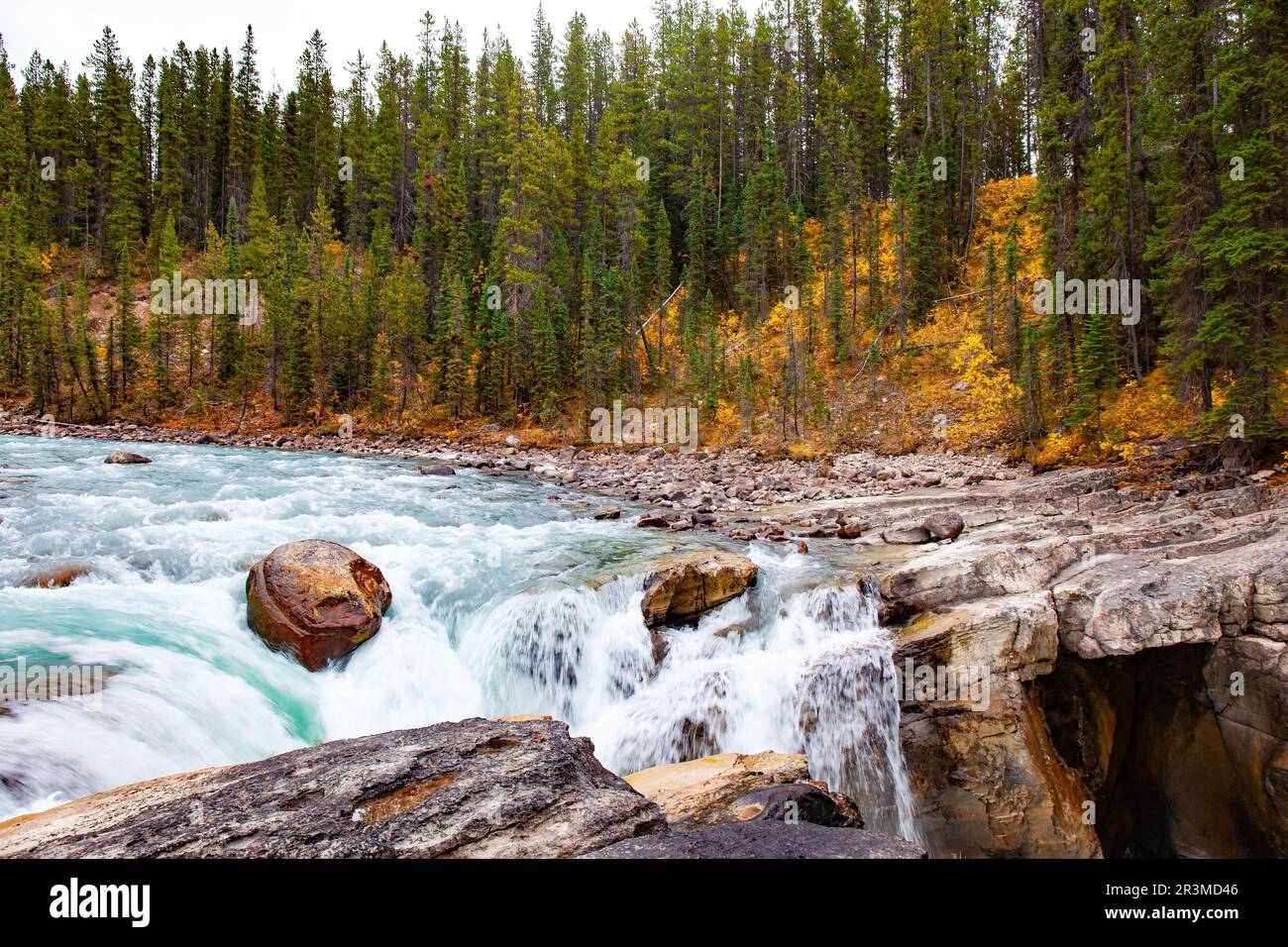 Coniferous forest beautiful landscape hi-res stock photography and ...