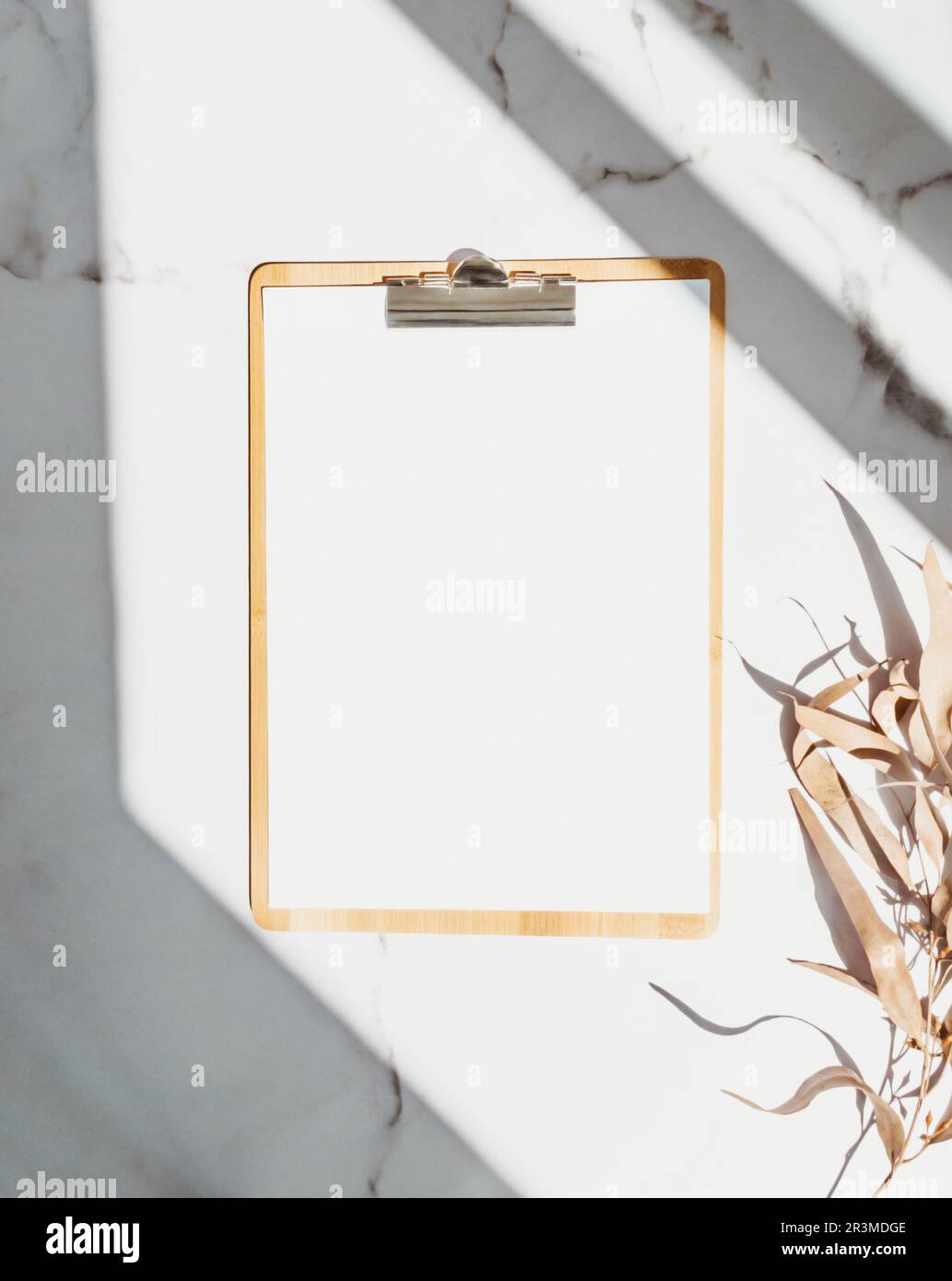 Clipboard with blank paper with copy space on white background with ...