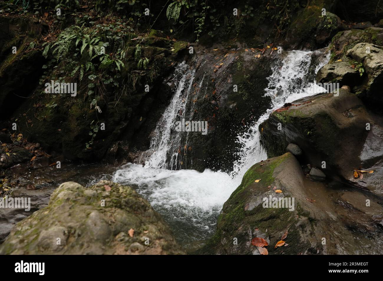 Mountain stream and rocks hi-res stock photography and images - Alamy