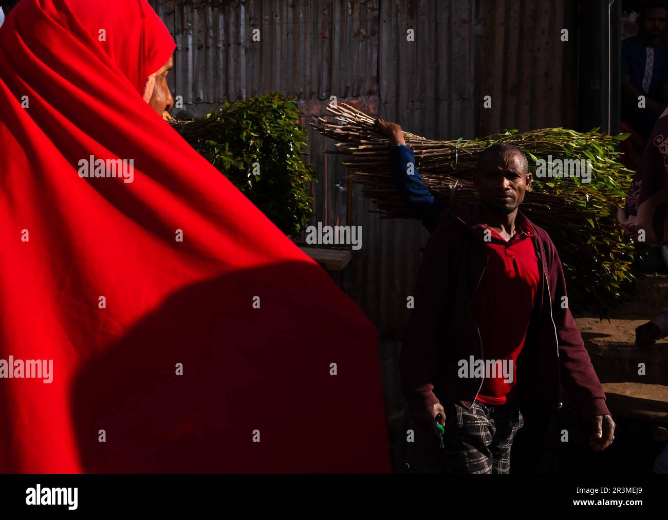 Ethiopian man carrying khat in a market, Harari Region, Awaday ...
