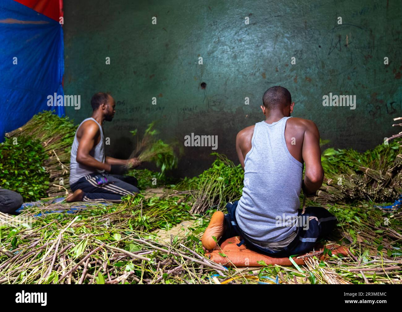 Ethiopia236581 hi-res stock photography and images - Alamy