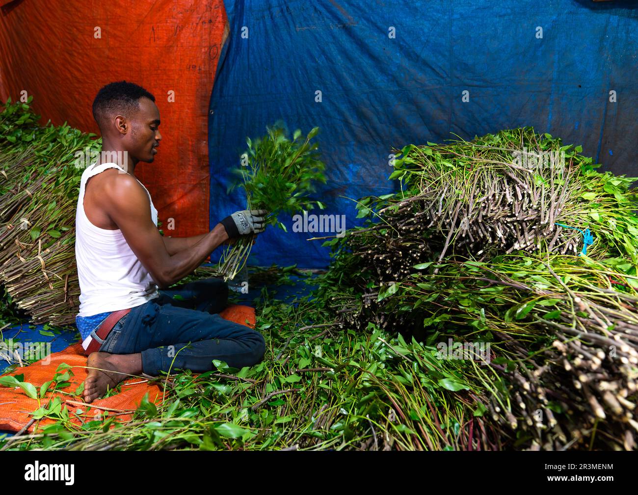 , Harari Region, Awaday, Ethiopia Stock Photo - Alamy