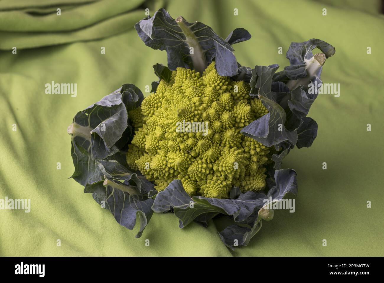 Edible greenery hi-res stock photography and images - Alamy