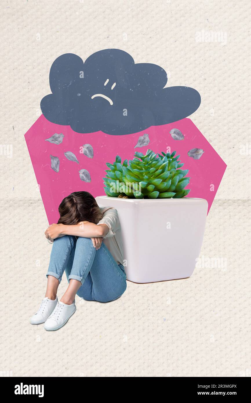 Creative photo graphics collage of crying lady having problems troubles ...