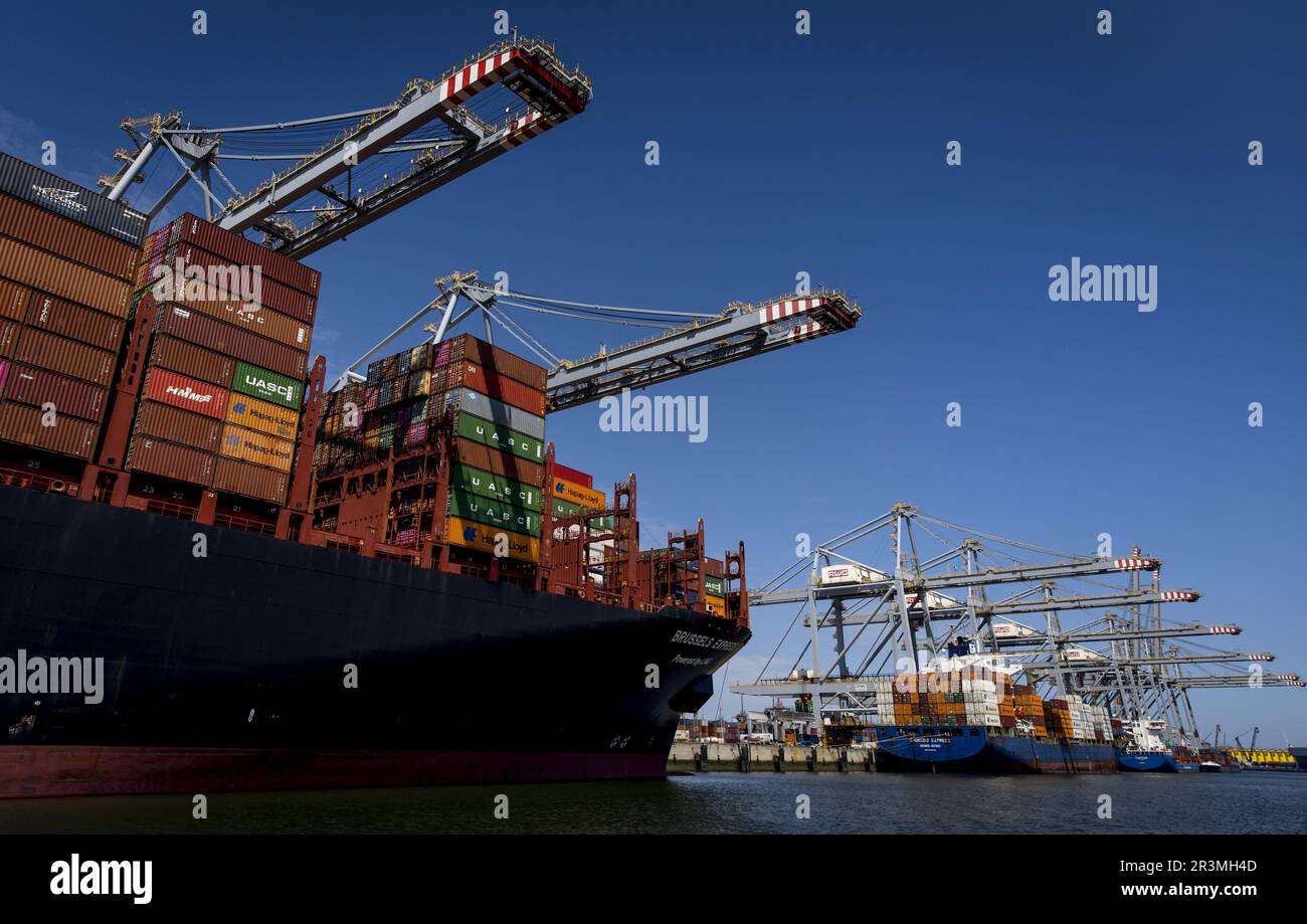 ROTTERDAM - Container ships in the Princess Amaliahaven in the port of ...
