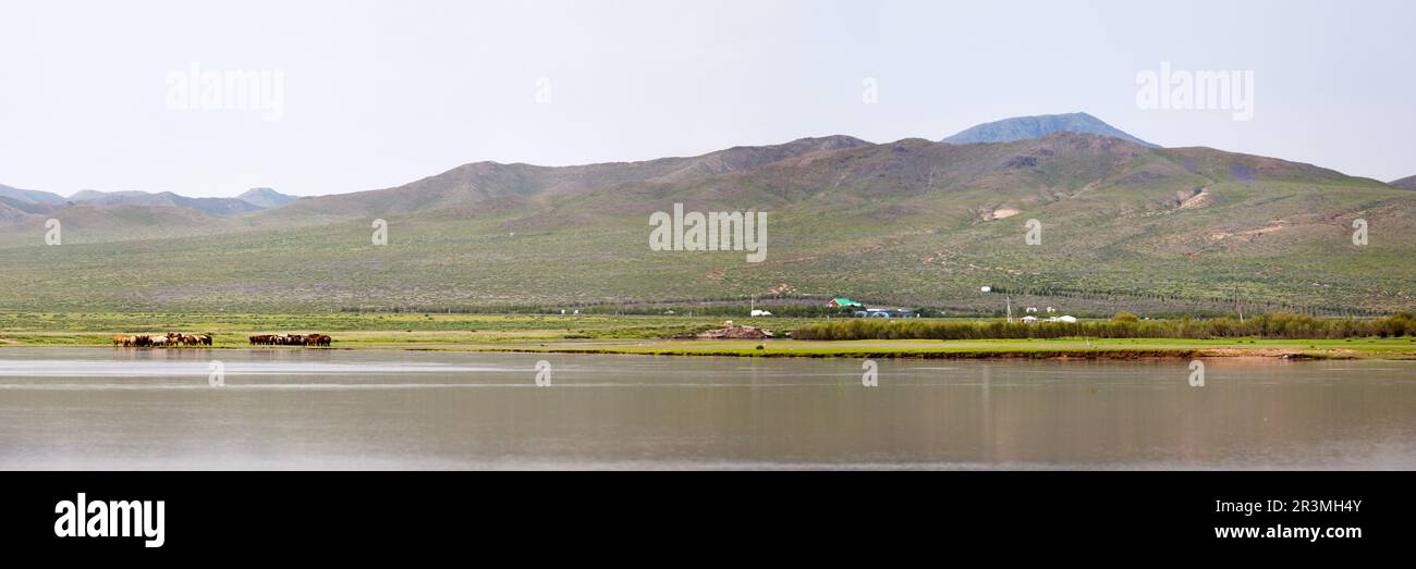 River in the steppes of Mongolia in the Bulgan province Stock Photo - Alamy