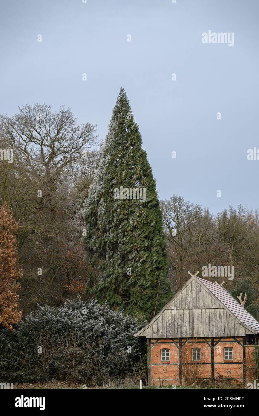 Velene hi-res stock photography and images - Alamy