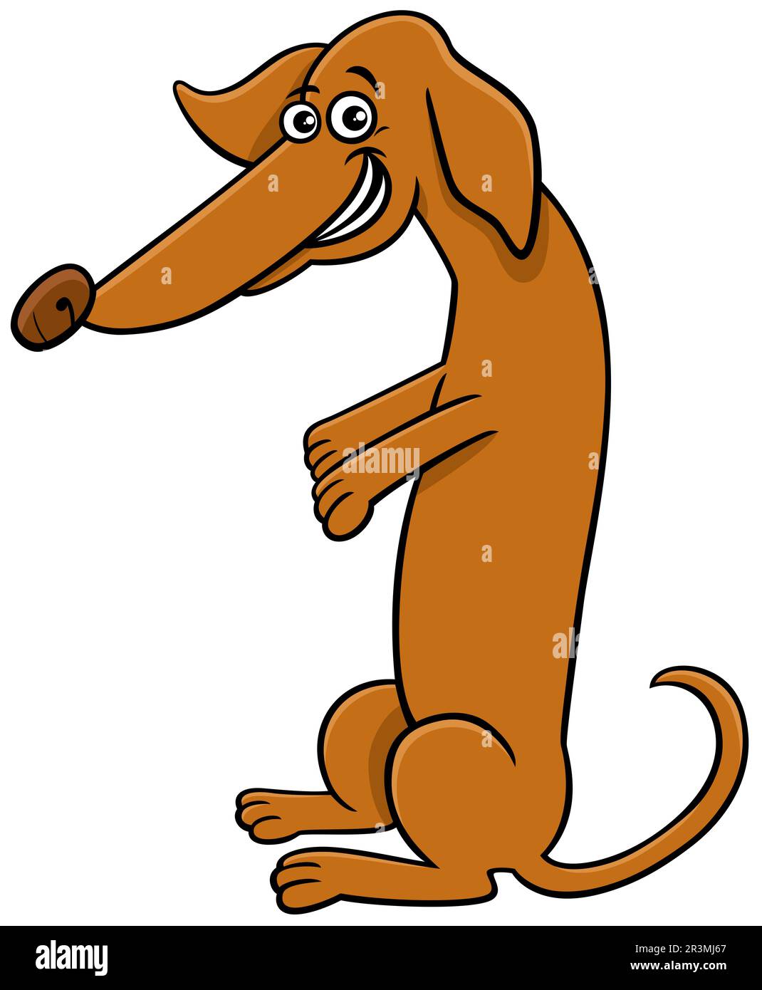 Cartoon dachshund dog comic animal character Stock Photo - Alamy
