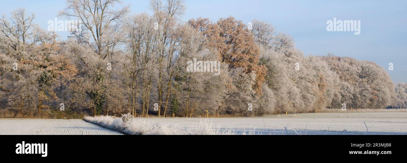 Frost edge hi-res stock photography and images - Alamy