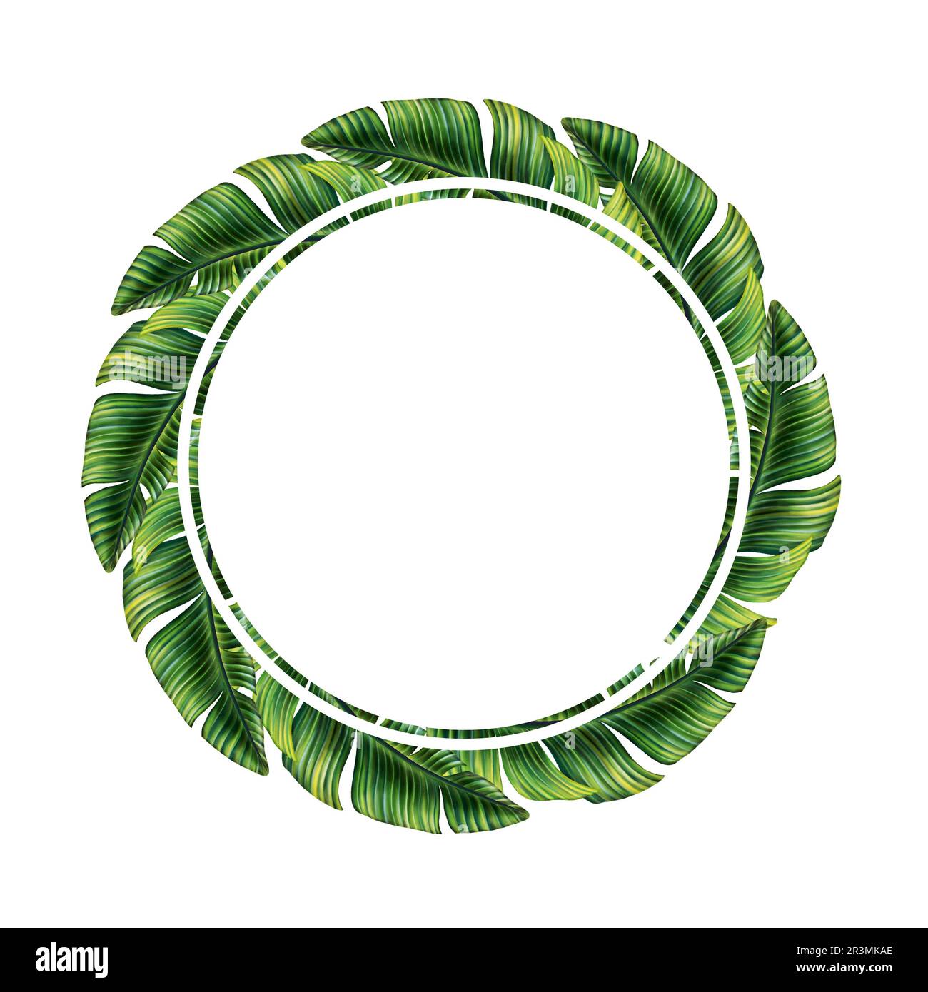Round template for text with tropical palm leaves. Tropic leaf wreath ...
