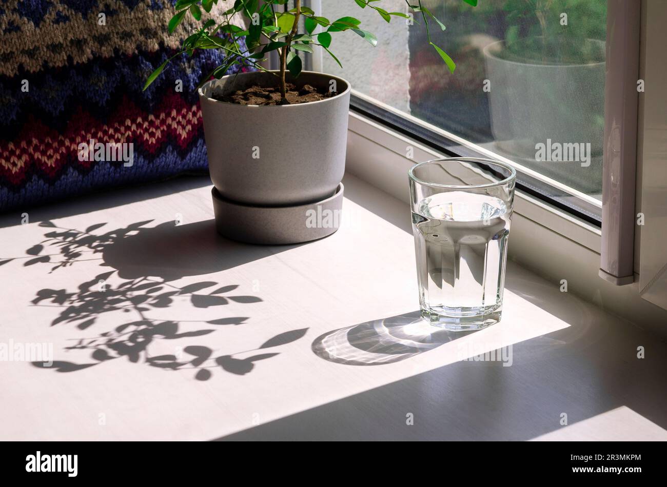 A glass of pure spring water and sharp shadows Stock Photo - Alamy