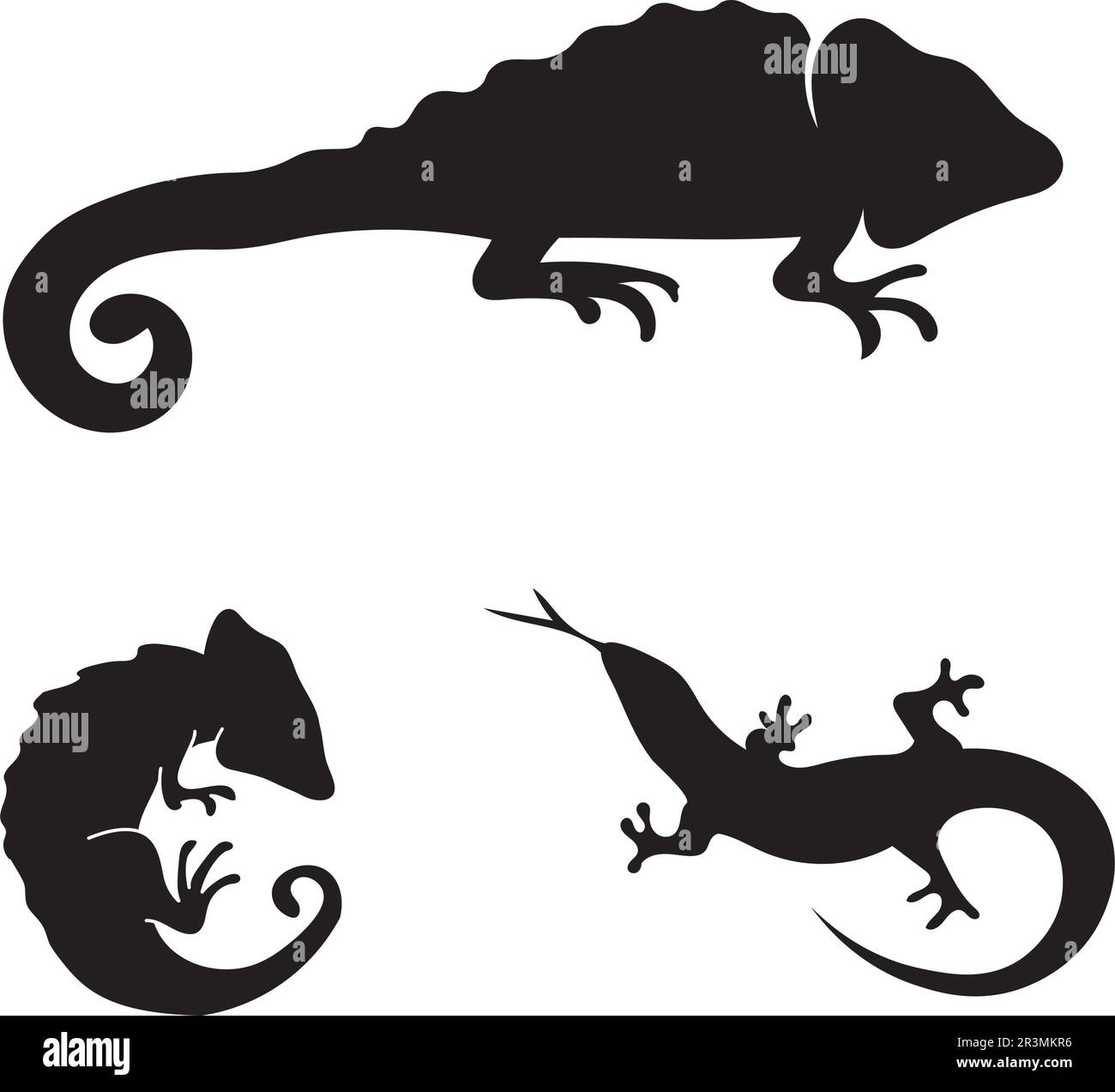 Lizard vector, design, animal, and reptile, gecko Stock Vector Image ...
