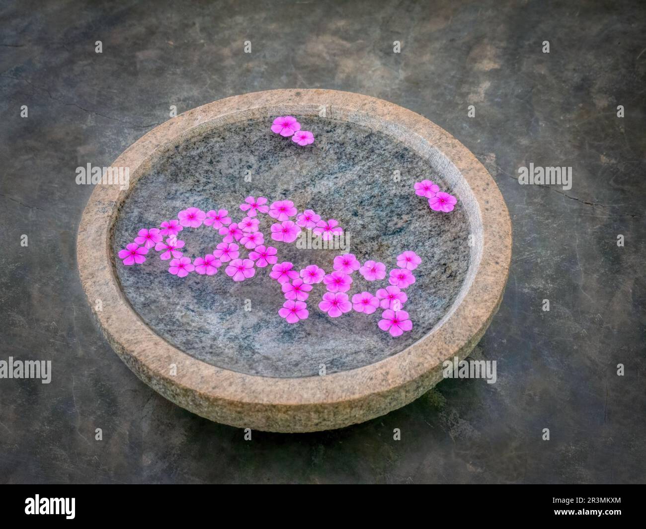Pink flowers in a zen bowl. Focus on phlox petals floating in a granite ...