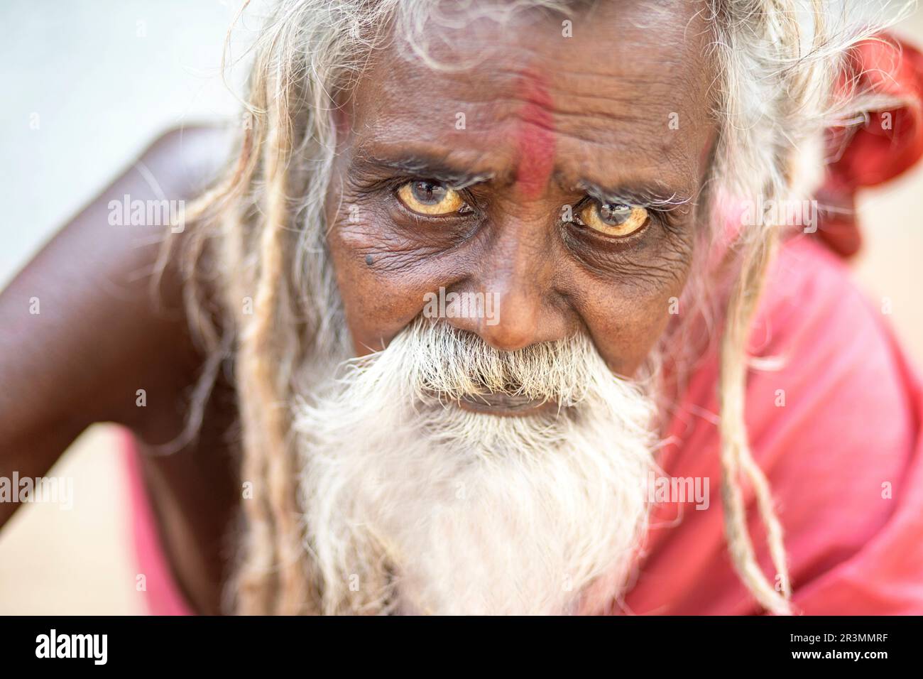 Portrait od a sadhu, holy person in Hinduism, who has renounced the ...