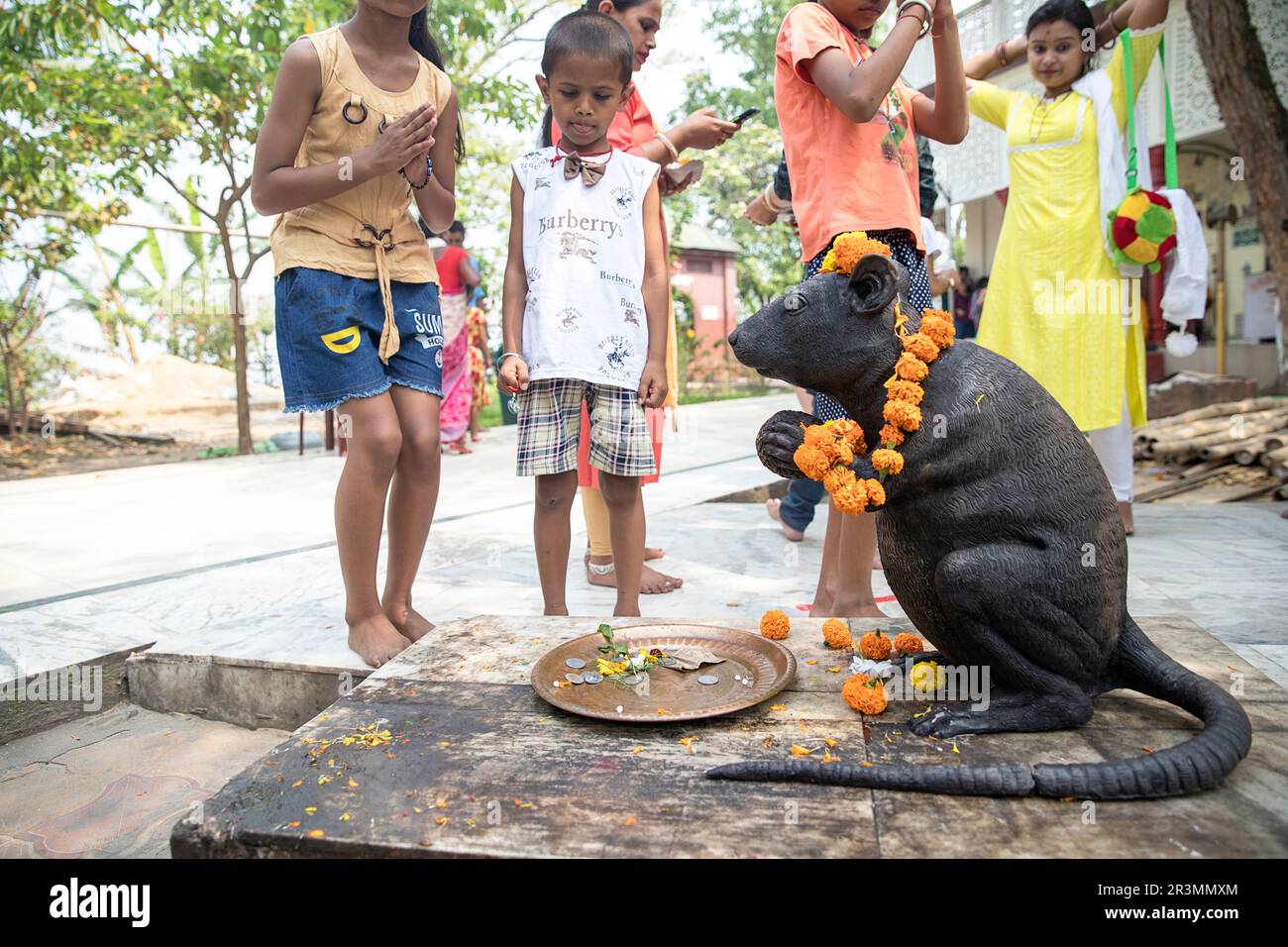 Worshipers surrounding Religious statue of a rat in Umananda Temple on ...