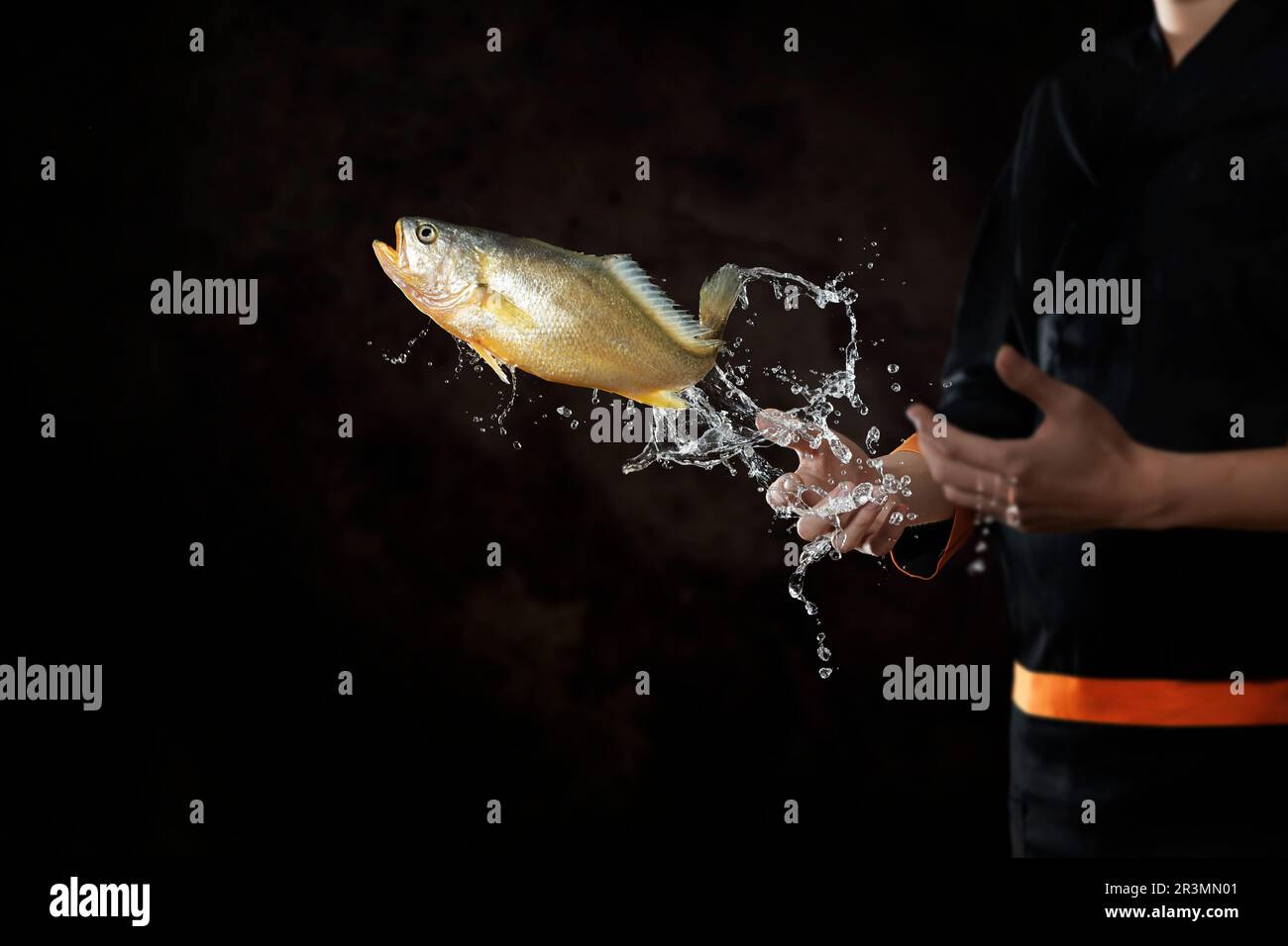 Croakers hi-res stock photography and images - Alamy