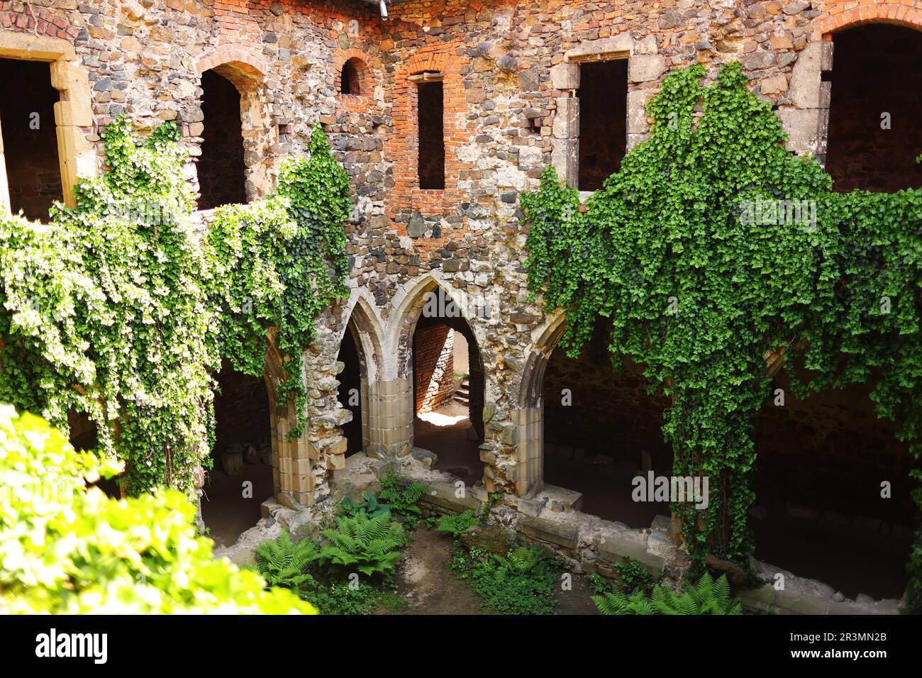 ruins of an old church in the middle of the forest Stock Photo - Alamy