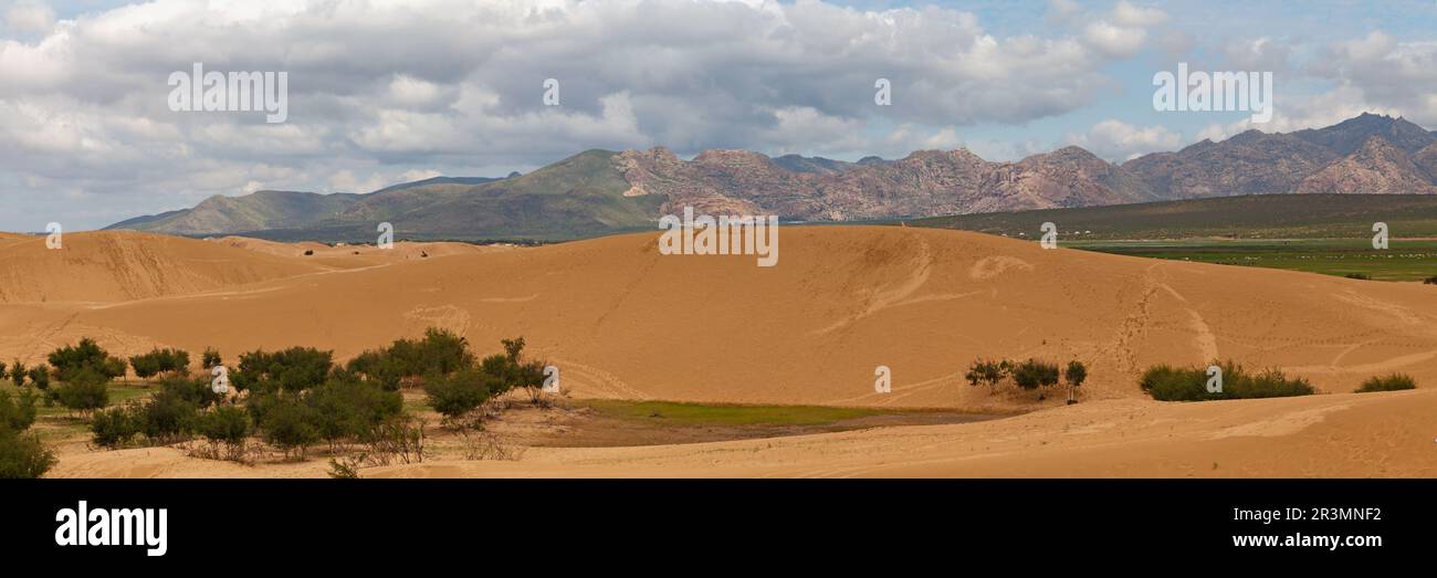 Sand dune in Elsen Tasarkhai, known as the "Mini Gobi Stock Photo - Alamy