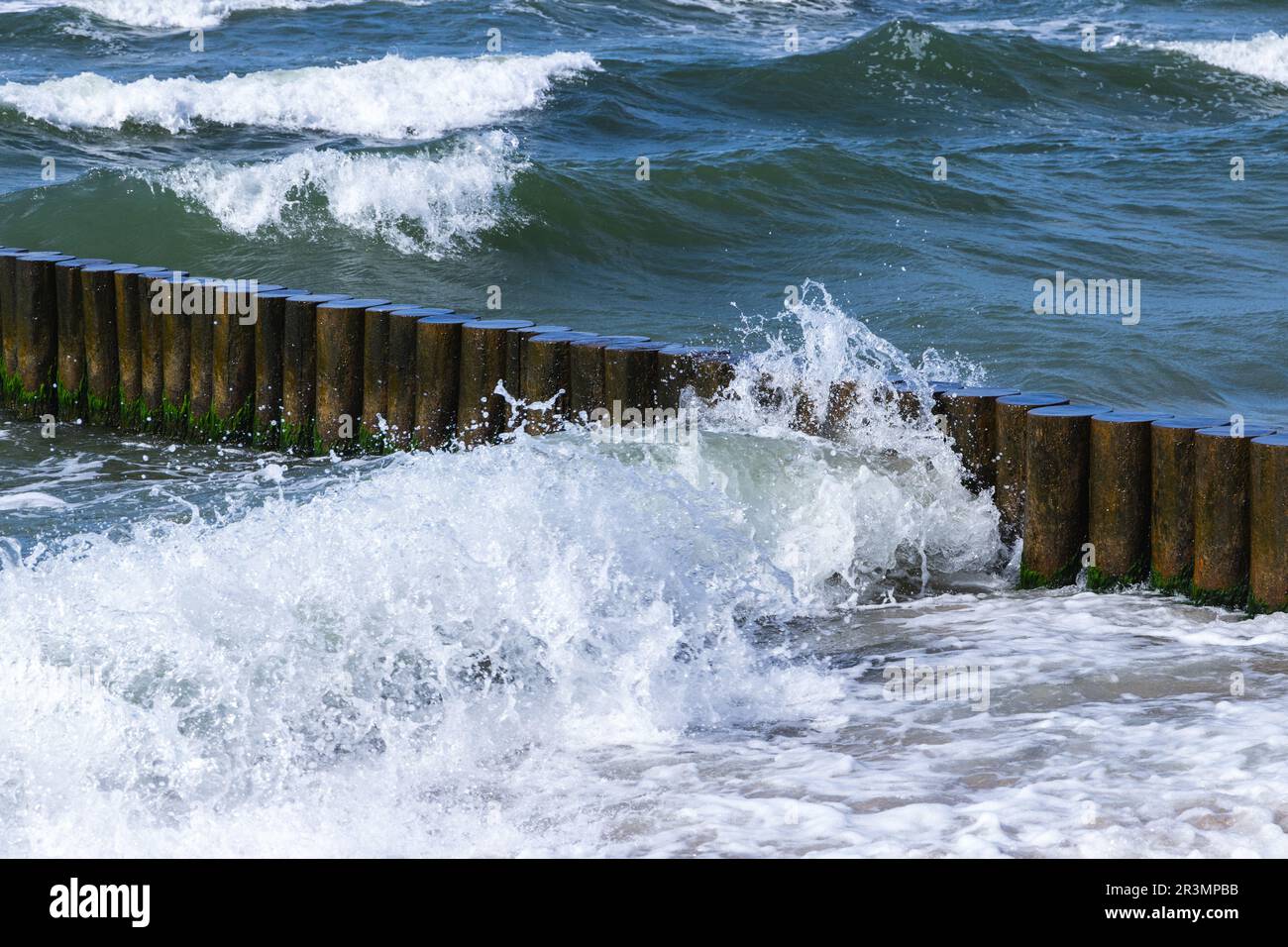 Kaliningrad russia sea baltic hi-res stock photography and images - Alamy