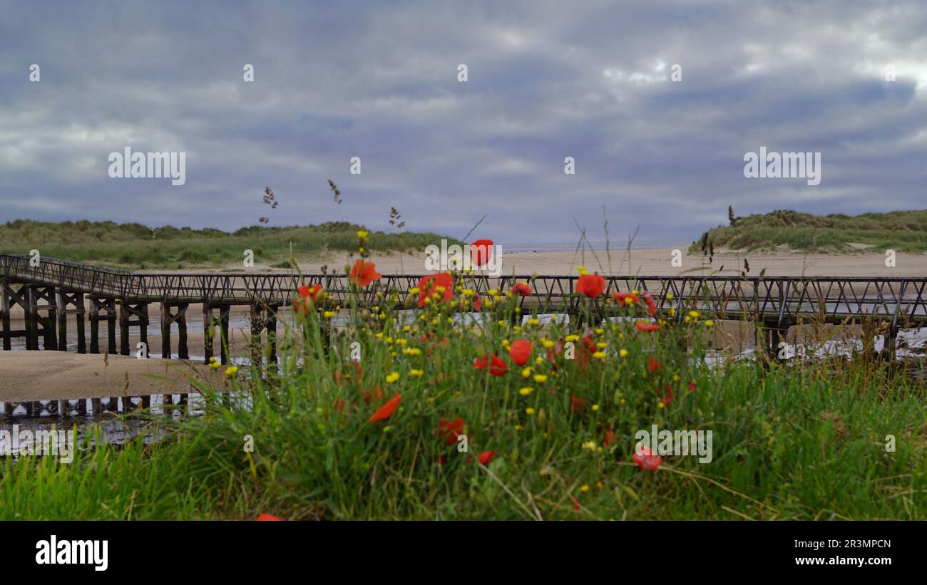 Lossiemouth beach bridge hi-res stock photography and images - Alamy