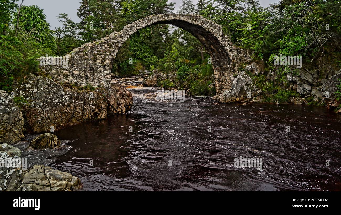 Carrbridge hi-res stock photography and images - Alamy