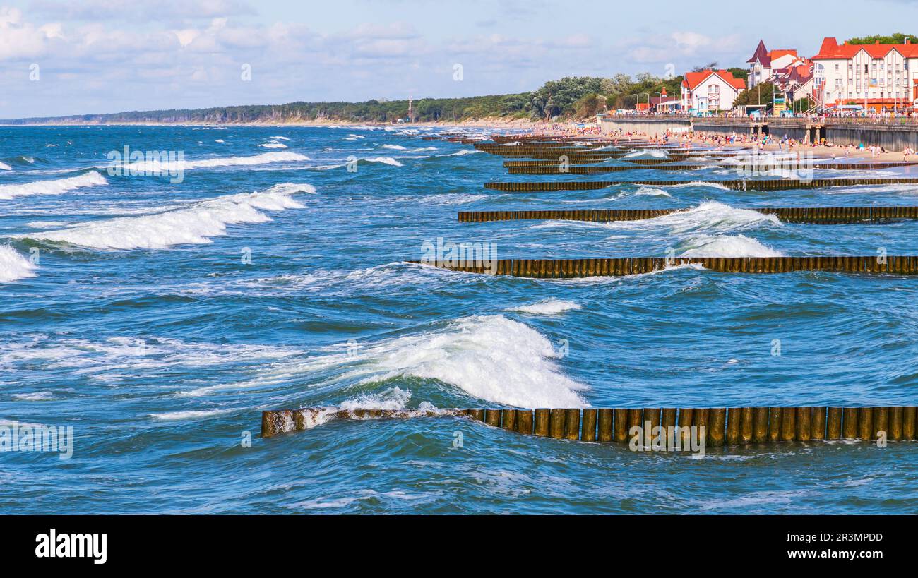Zelenogradsk coastal view with old wooden breakwaters. Prior to 1946 ...