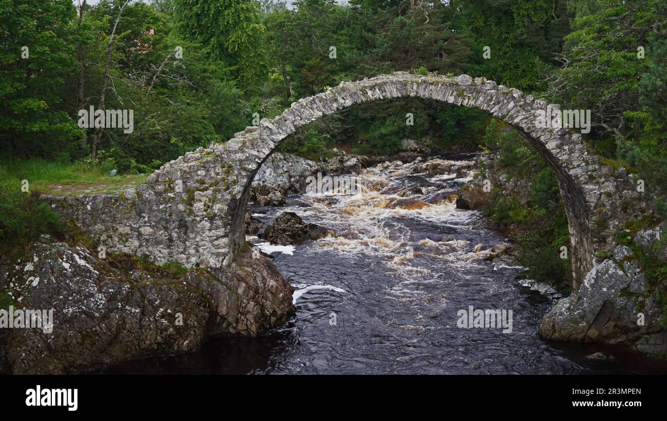 Carrbridge hi-res stock photography and images - Alamy