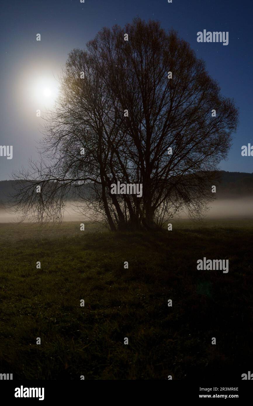 Night fog hi-res stock photography and images - Alamy