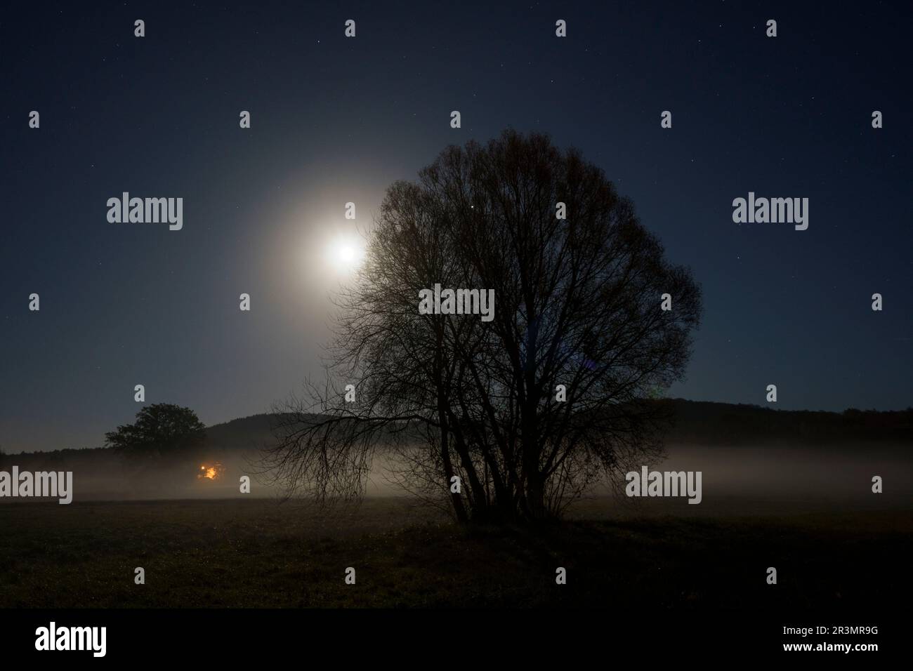 Mystical moonlight night with fog 1 Stock Photo - Alamy