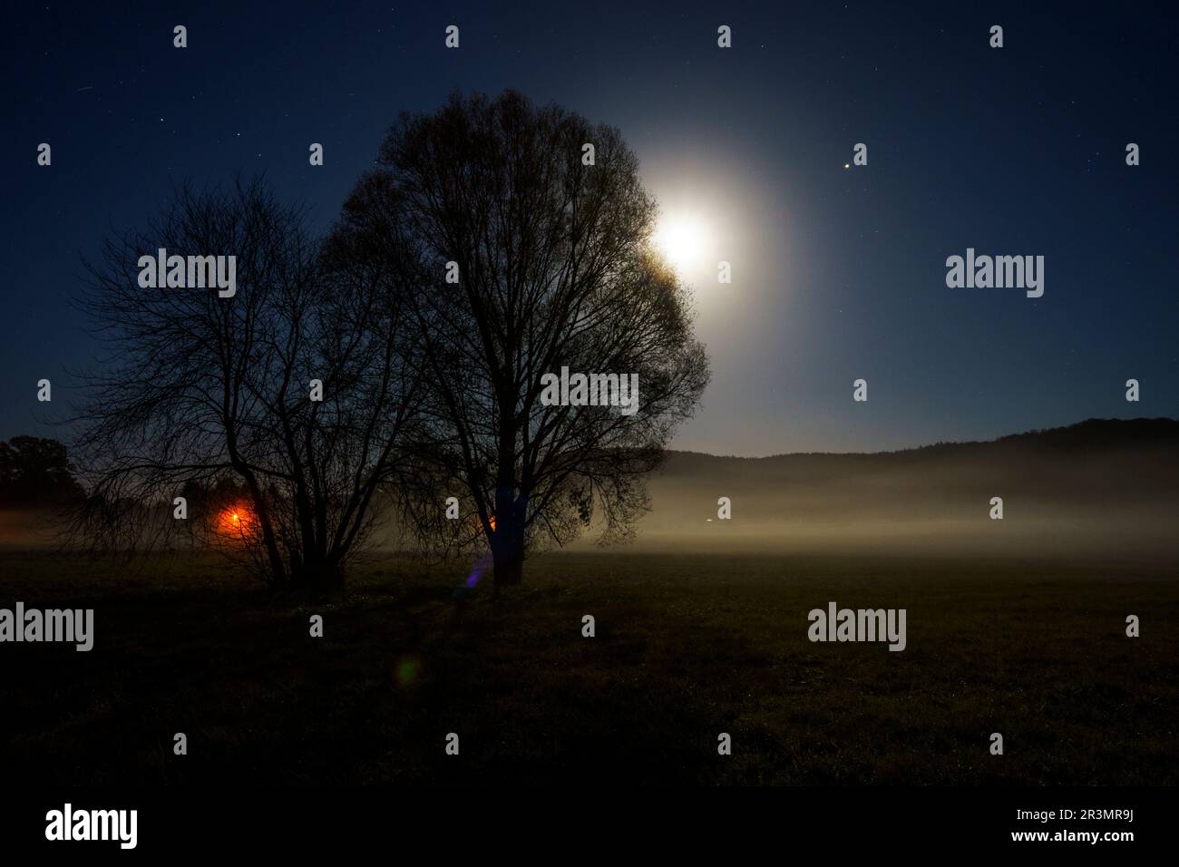 Mystical moonlight night with fog 4 Stock Photo - Alamy