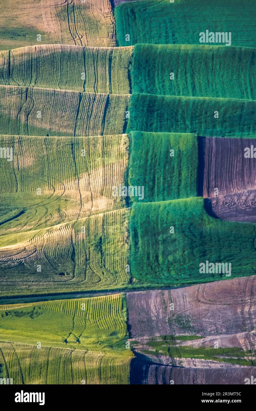 Landscape scenes in palouse washington Stock Photo - Alamy