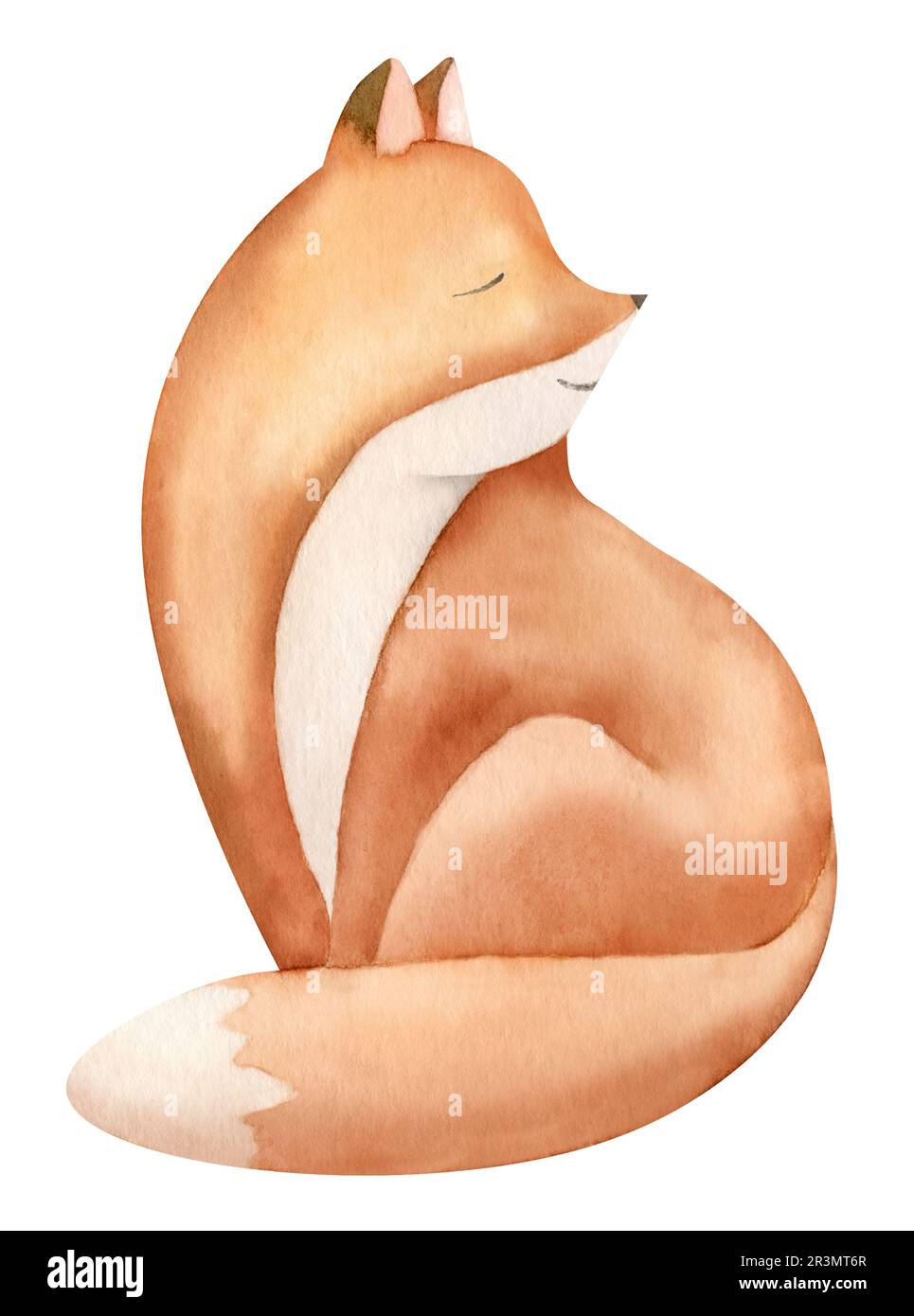 Red Fox Baby illustration. Hand drawn watercolor drawing of woodland ...