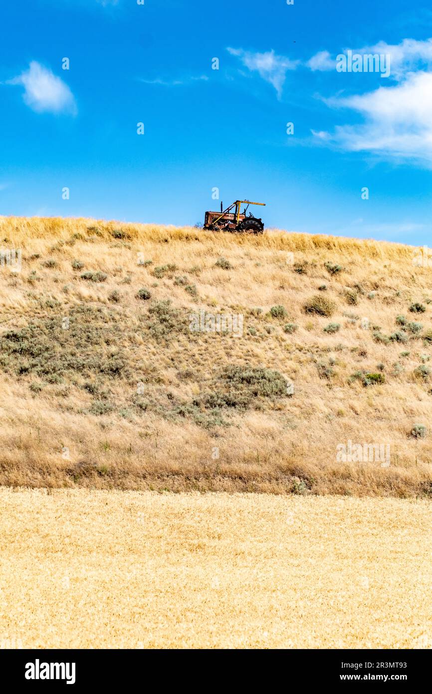 Harvesting crops on palouse washington wheat fields in summer Stock ...