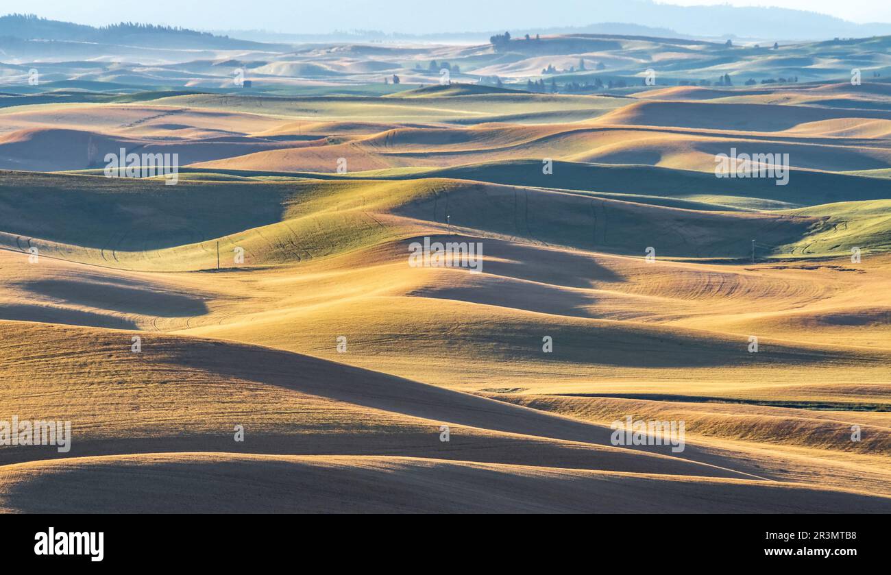 Palouse beautiful hi-res stock photography and images - Alamy