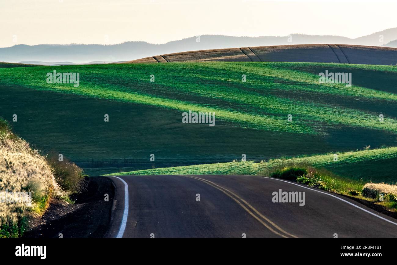Landscape scenes in palouse washington Stock Photo - Alamy
