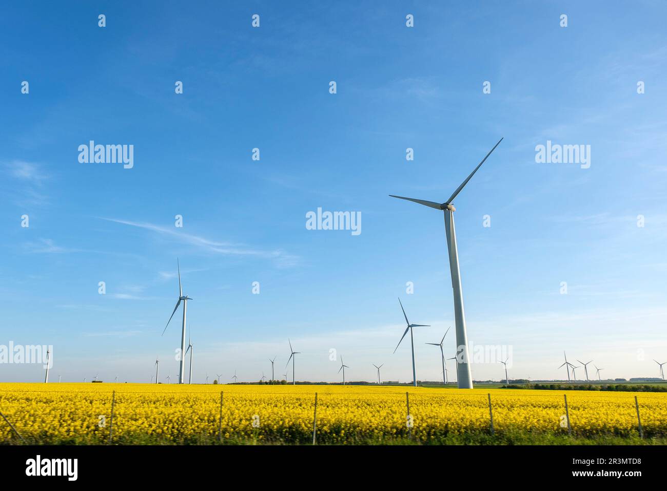 Parc eolien au milieu des champs dans les campagnes | Wind farm in the ...