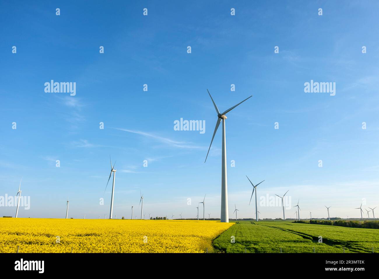Parc eolien au milieu des champs dans les campagnes | Wind farm in the ...
