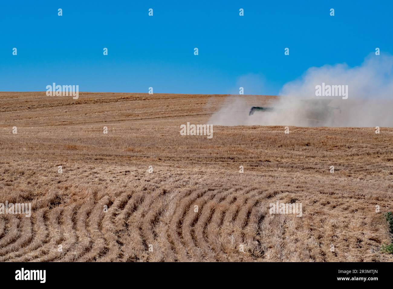 Harvesting crops on palouse washington wheat fields in summer Stock ...